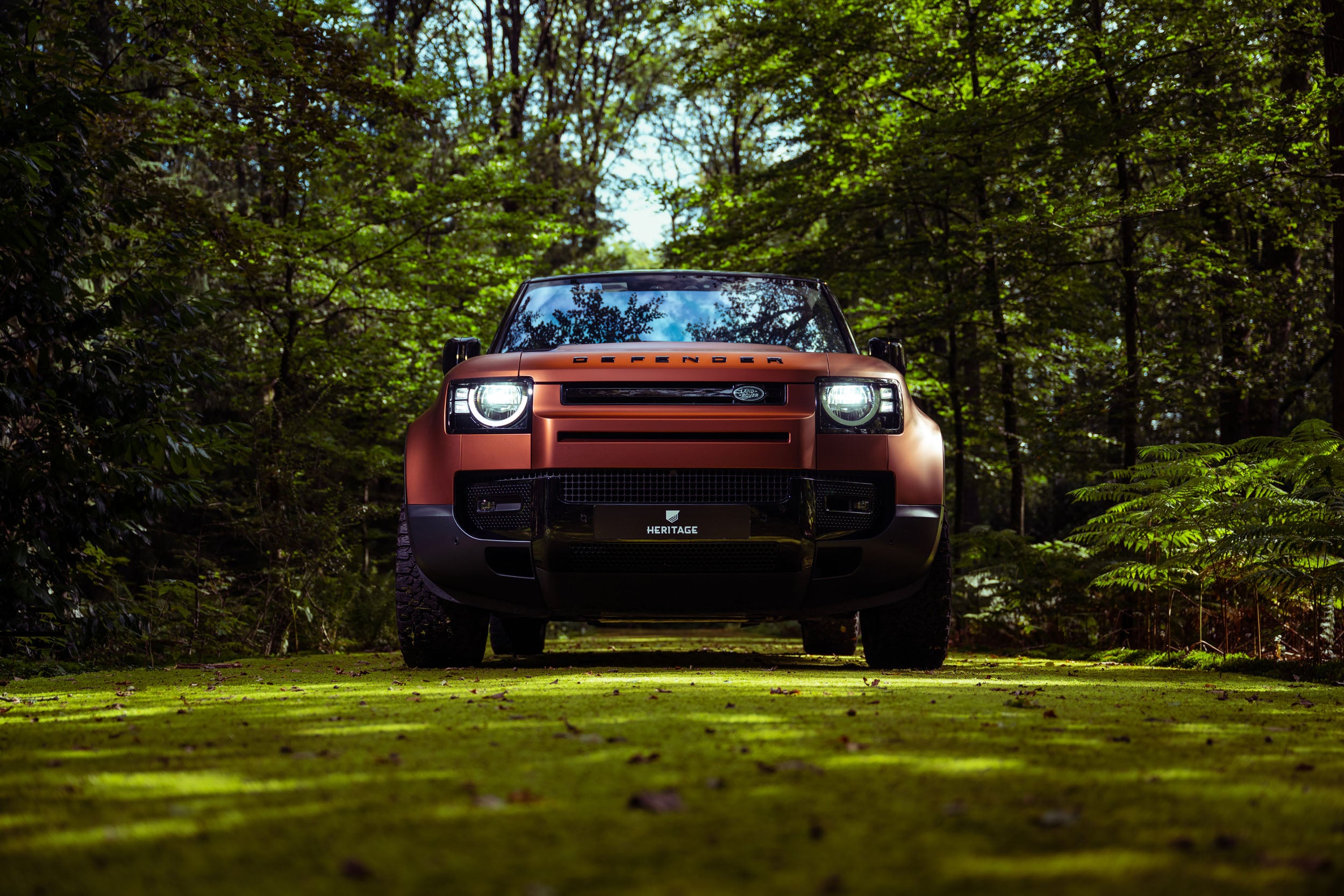 Defender 110 P400e - Autumn